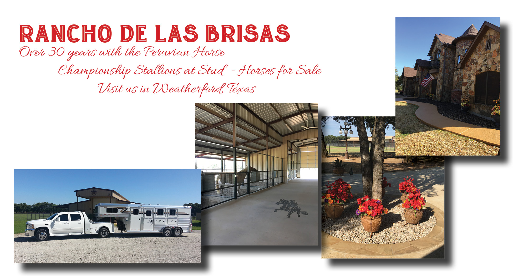 Rancho de las Brisas – Peruvian Paso Horses in Texas